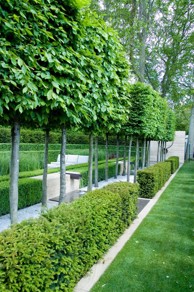 How to Make Leading Lines In Your Garden - DIY Morning