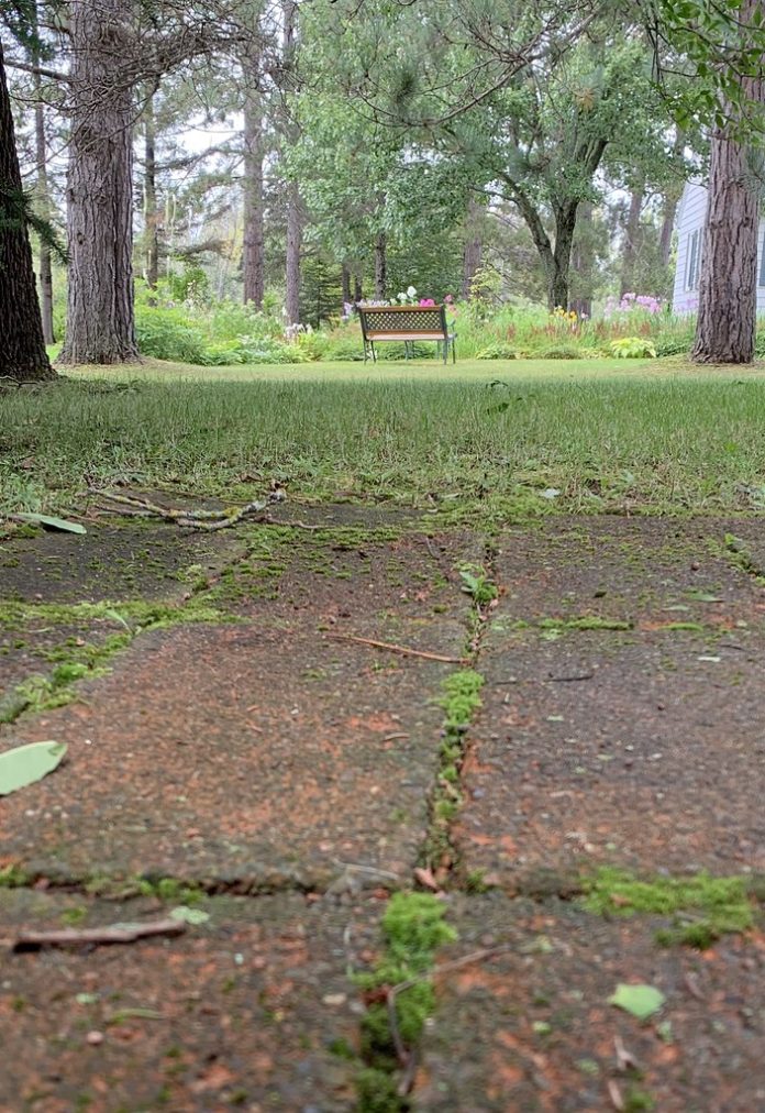 How to Make Leading Lines In Your Garden - DIY Morning