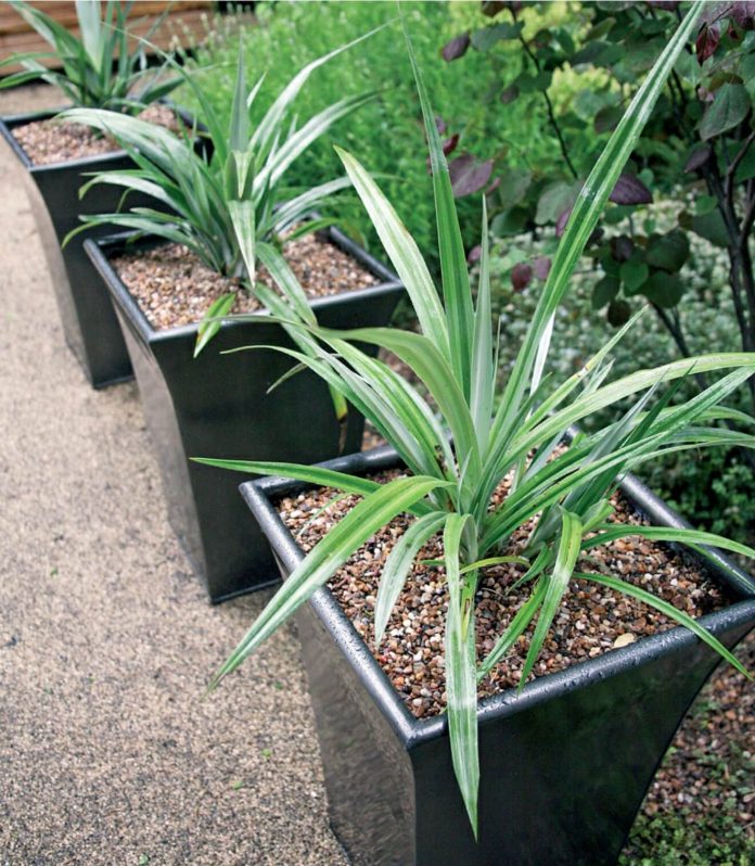 How to Make Leading Lines In Your Garden - DIY Morning
