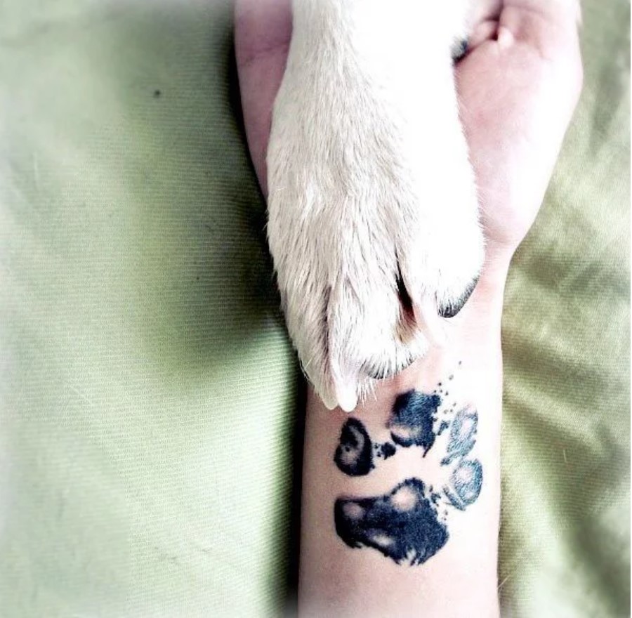 25 Tattoos that all pet lovers are going to want to do - DIY Morning