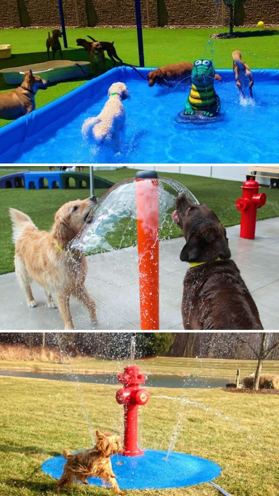 15 Backyard Landscaping Ideas That Will Give Your Dogs Happy Barks