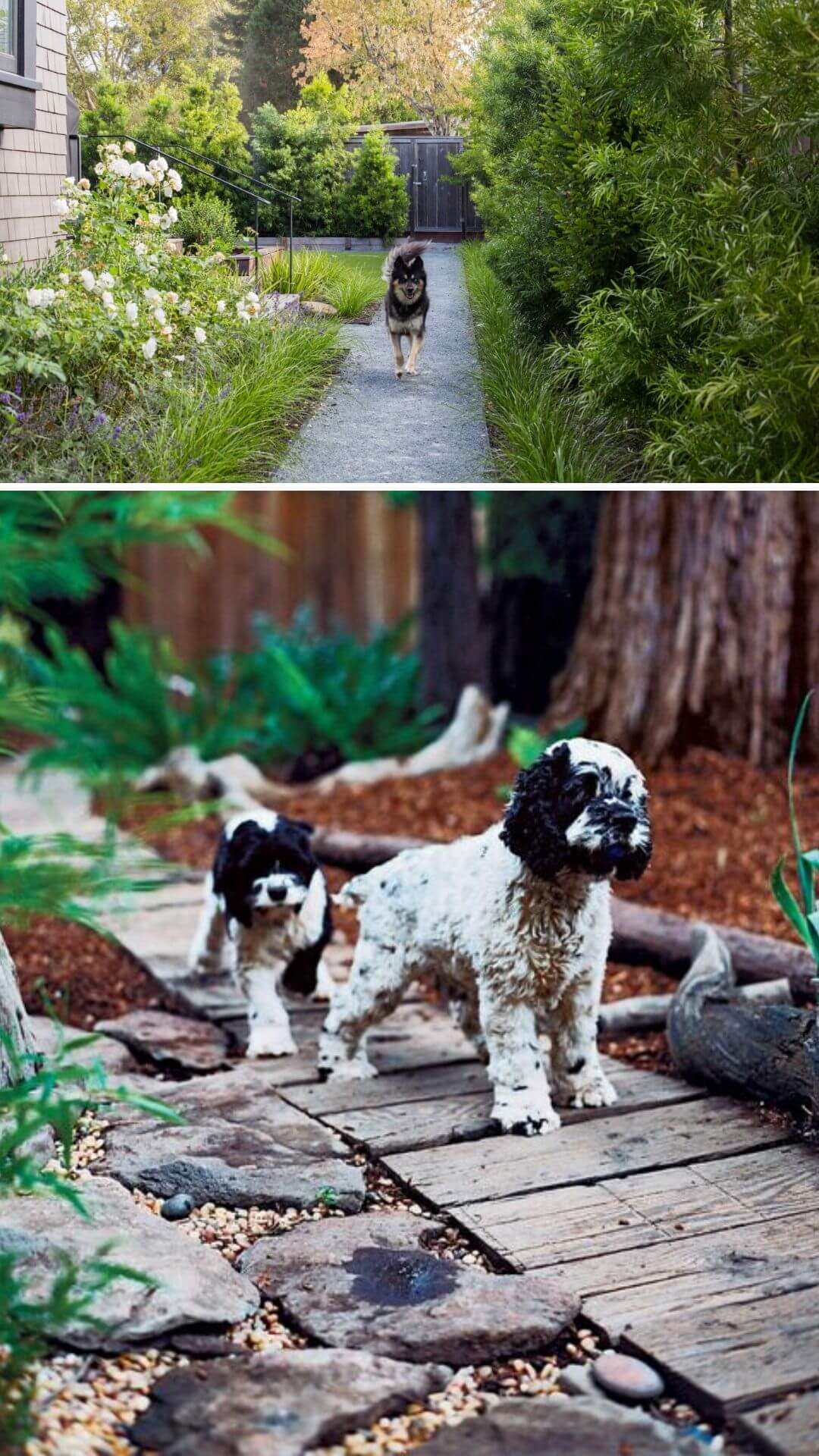 15 Backyard Landscaping Ideas That Will Give Your Dogs Happy Barks