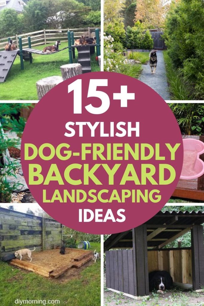 15 Backyard Landscaping Ideas That Will Give Your Dogs Happy Barks