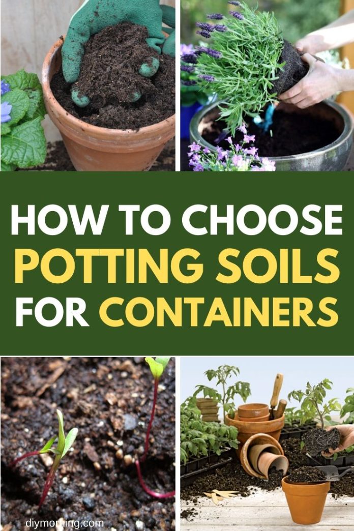 How To Choose Potting Soils For Containers - Mix Soilless Ingredients ...