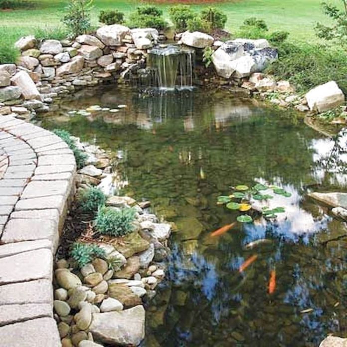 Aquatic Polyculture: 30+ Inspiring Modern Backyard Pond Ideas