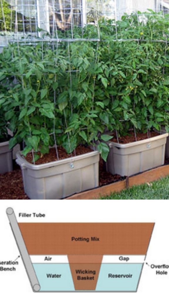 17+ Cheap and Easy DIY Self-Watering Ideas For Your Garden