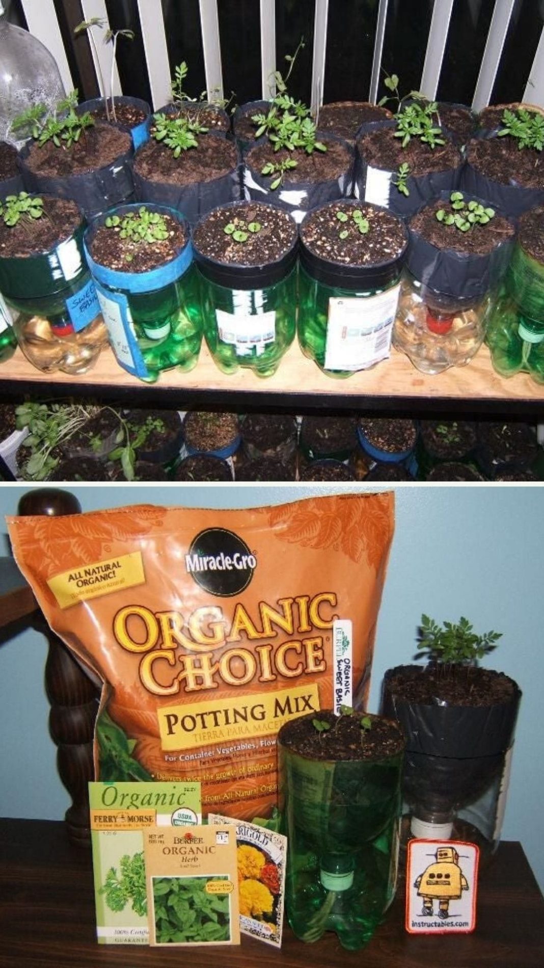 17+ Cheap and Easy DIY Self-Watering Ideas For Your Garden