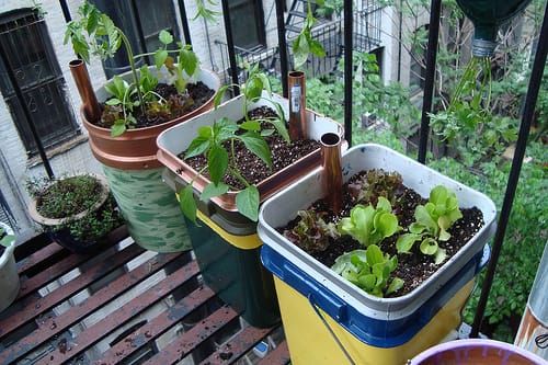 17+ Cheap and Easy DIY Self-Watering Ideas For Your Garden