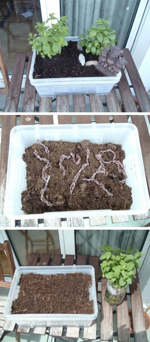 17+ Cheap and Easy DIY Self-Watering Ideas For Your Garden