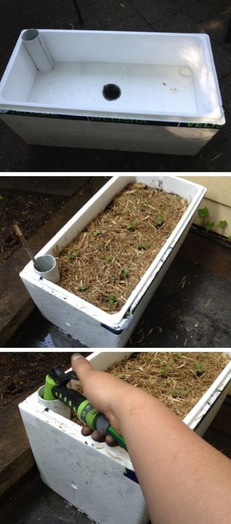 17+ Cheap and Easy DIY Self-Watering Ideas For Your Garden