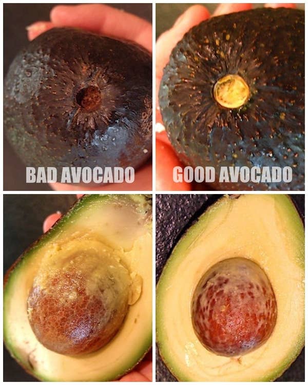 15 Clever Hacks For Avocado Lovers - DIY Morning