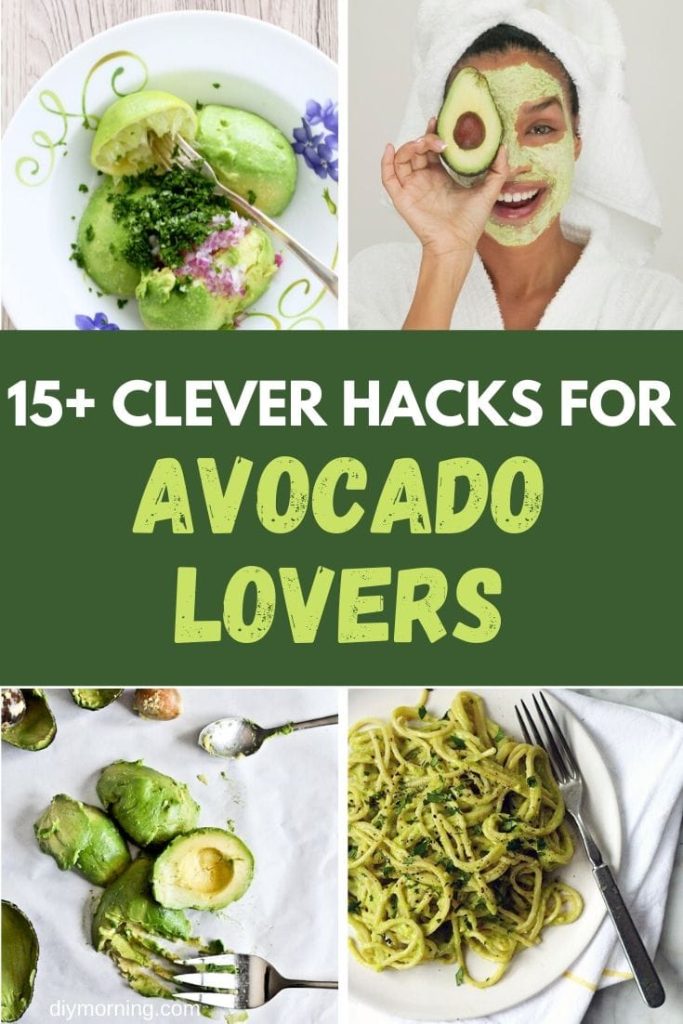 15 Clever Hacks For Avocado Lovers - DIY Morning