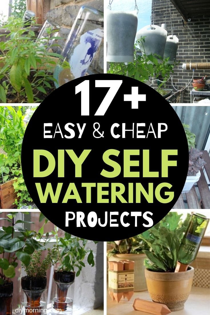 17+ Cheap and Easy DIY Self-Watering Ideas For Your Garden
