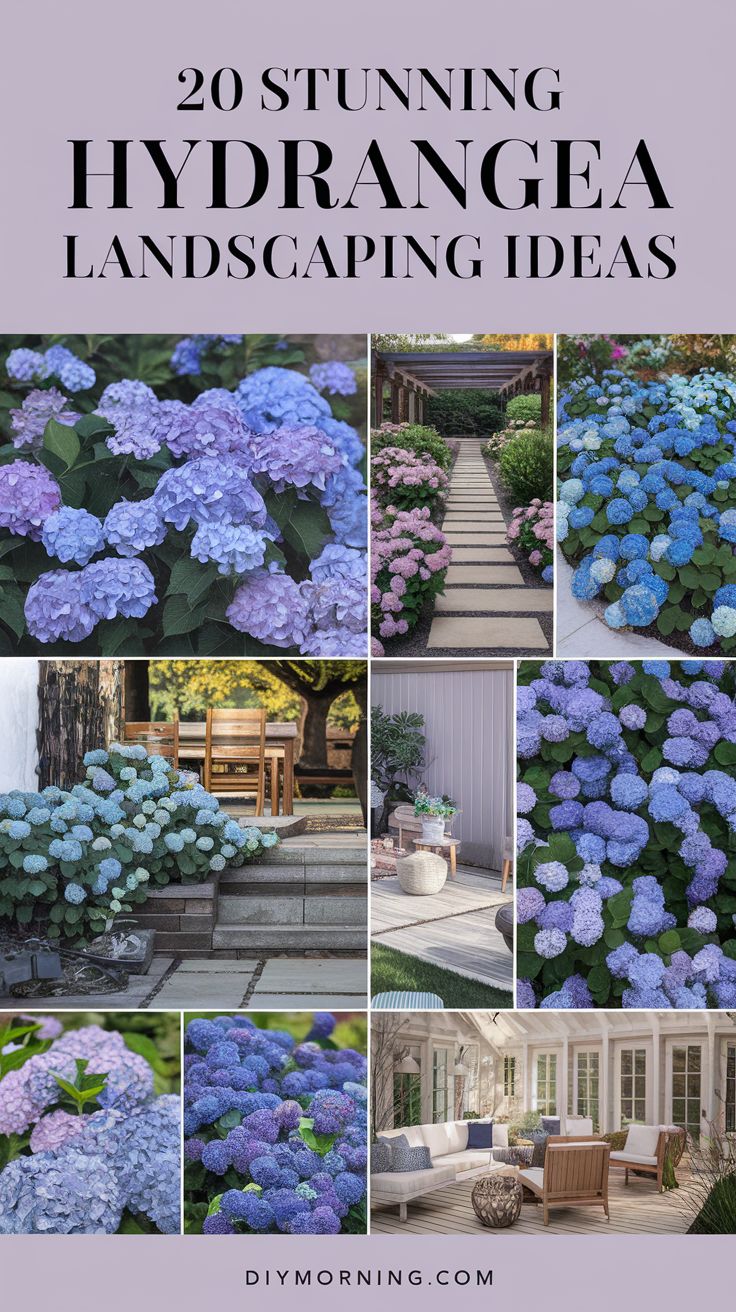 20 Stunning Hydrangea Landscaping Ideas to Transform Your Garden - DIY ...